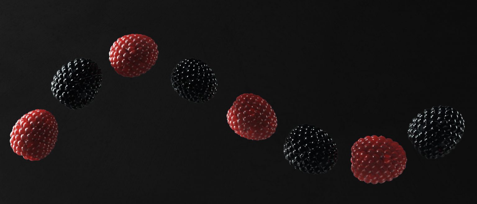 Gonzalo Miranda — Playground - Gonzalo Miranda